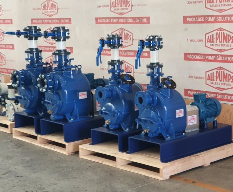 Nexus Self Priming Pumpsets for Dam Water Circulation