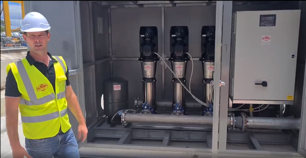 Stal Portfolio Archive - All Pumps